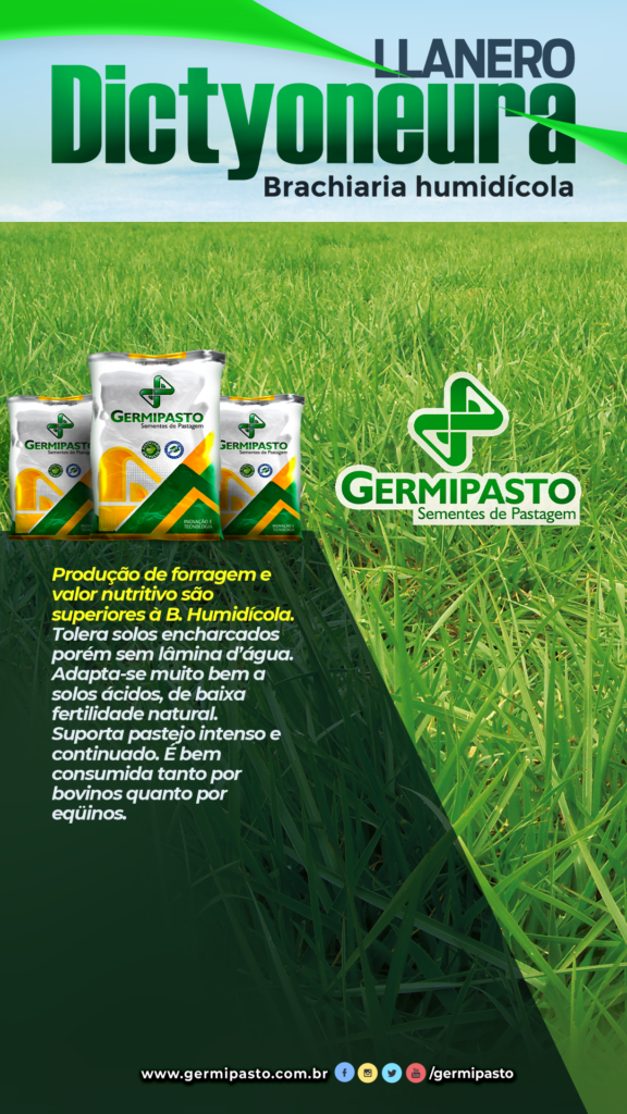 Germipasto Cultivar Llanero - Área do representante