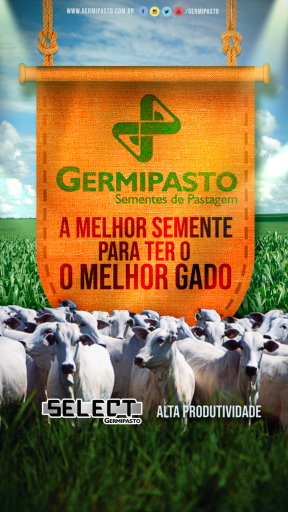 Sementes Germipasto Pecuária - Área do representante